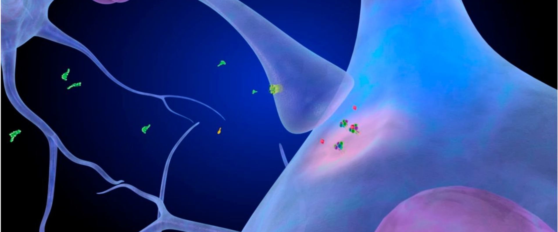 How does delta 9 thc affect the brain?