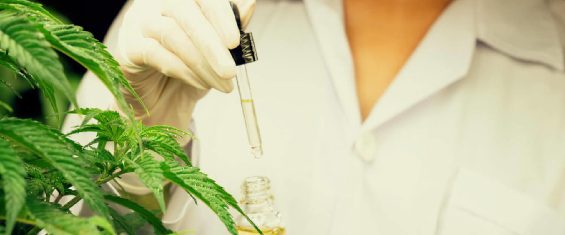 How is delta 9 thc metabolized in the body?